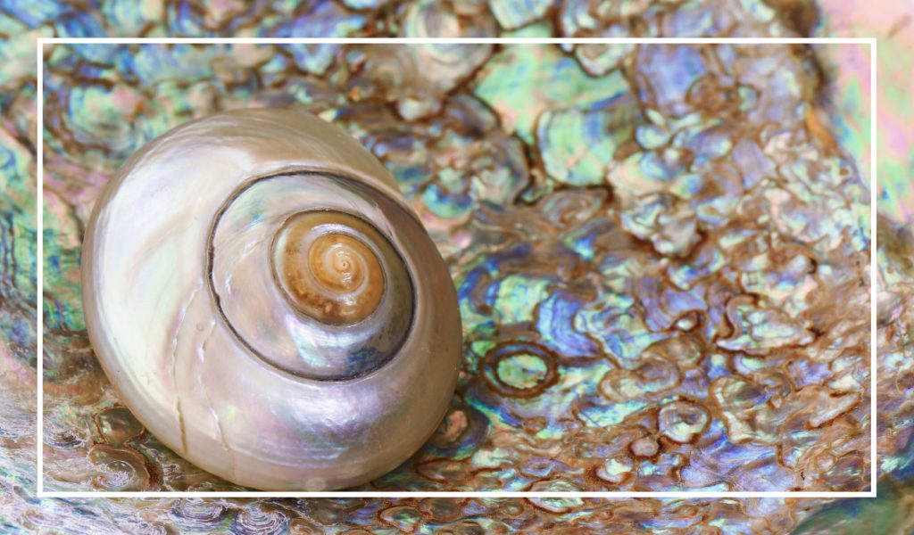 Halkbank Kültür ve Yaşam