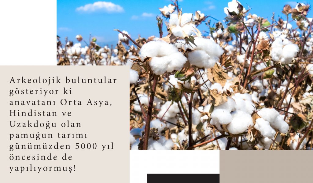 Halkbank Kültür ve Yaşam