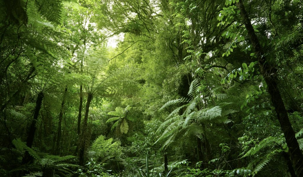 Halkbank Kültür ve Yaşam