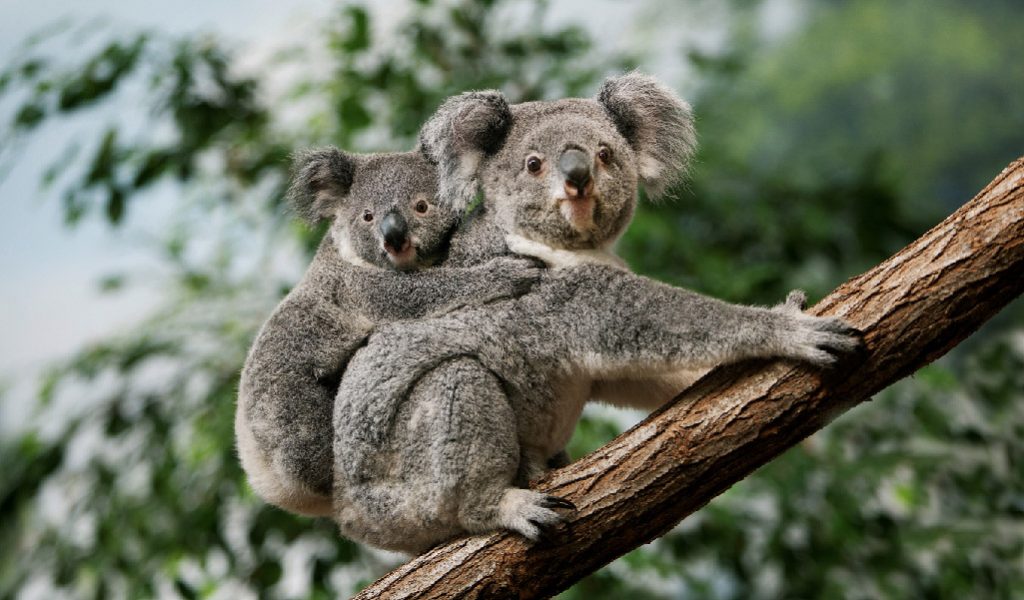 Halkbank Kültür ve Yaşam