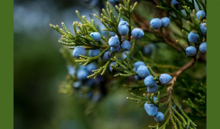 Halkbank Kültür ve Yaşam