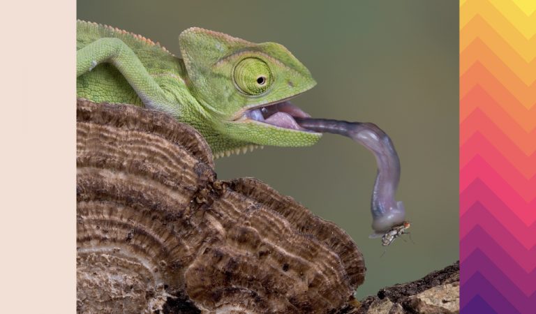 Halkbank Kültür ve Yaşam