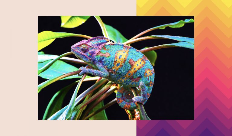 Halkbank Kültür ve Yaşam