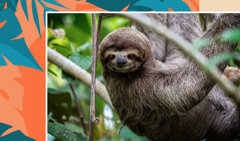 Halkbank Kültür ve Yaşam