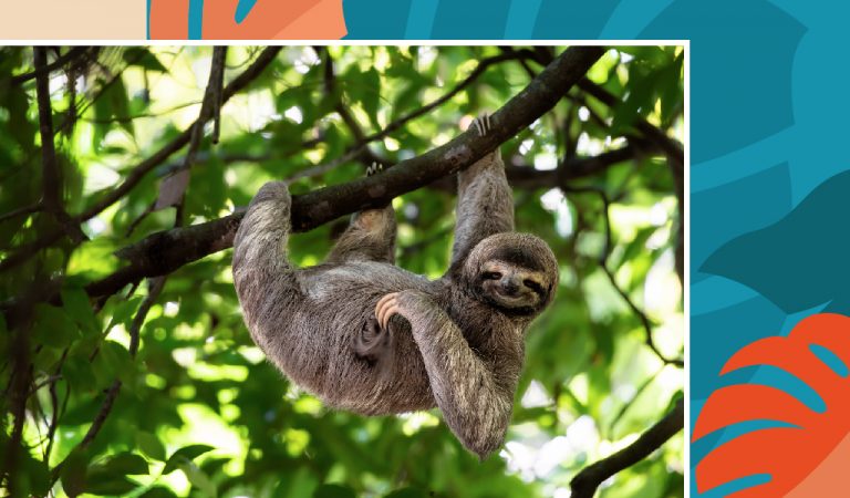 Halkbank Kültür ve Yaşam