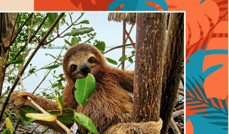 Halkbank Kültür ve Yaşam