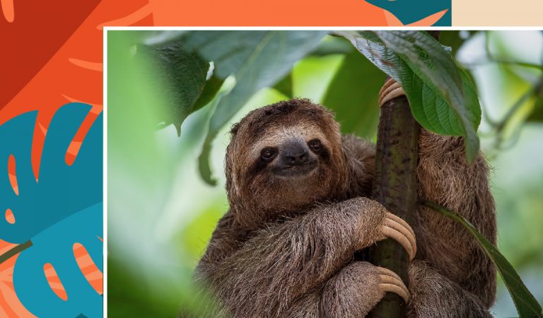 Halkbank Kültür ve Yaşam