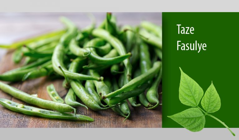 Halkbank Kültür ve Yaşam