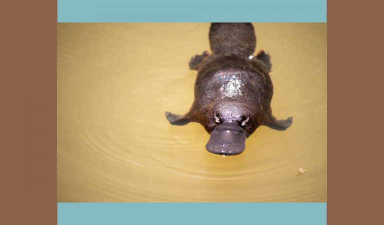 Halkbank Kültür ve Yaşam