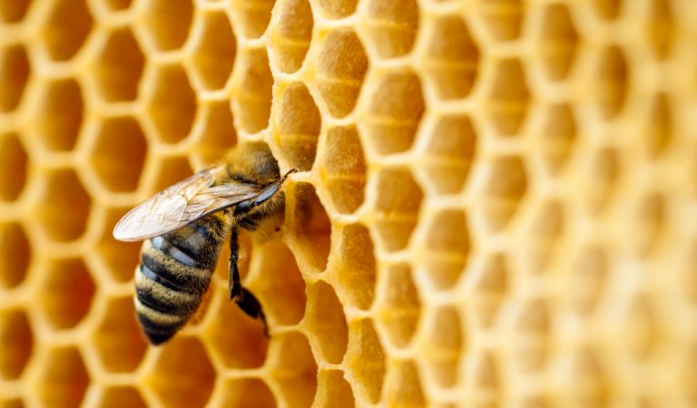 Halkbank Kültür ve Yaşam